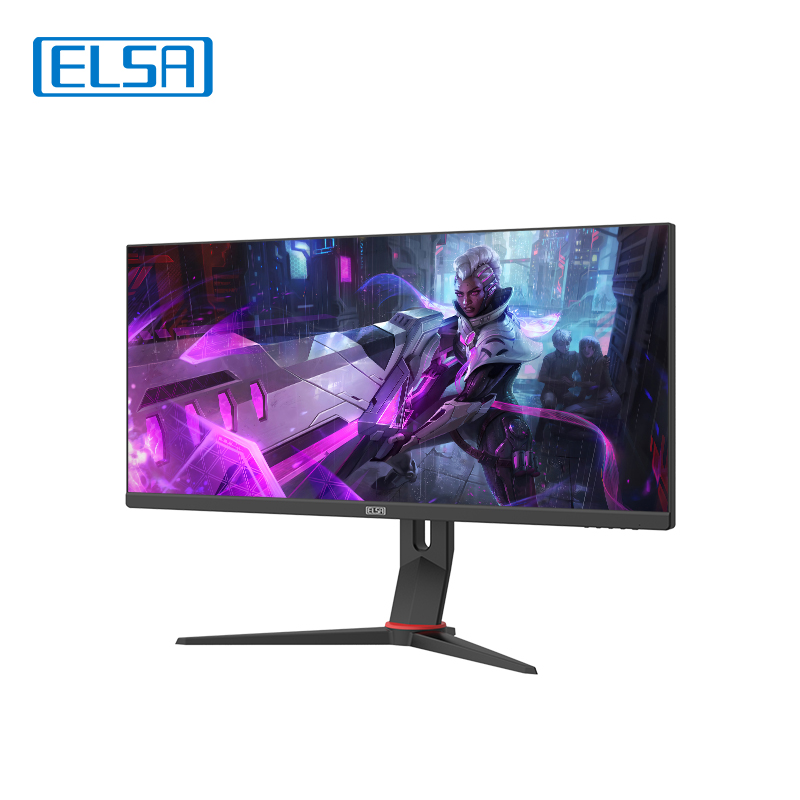 MIQDAD Computers. ELSA EA300EX